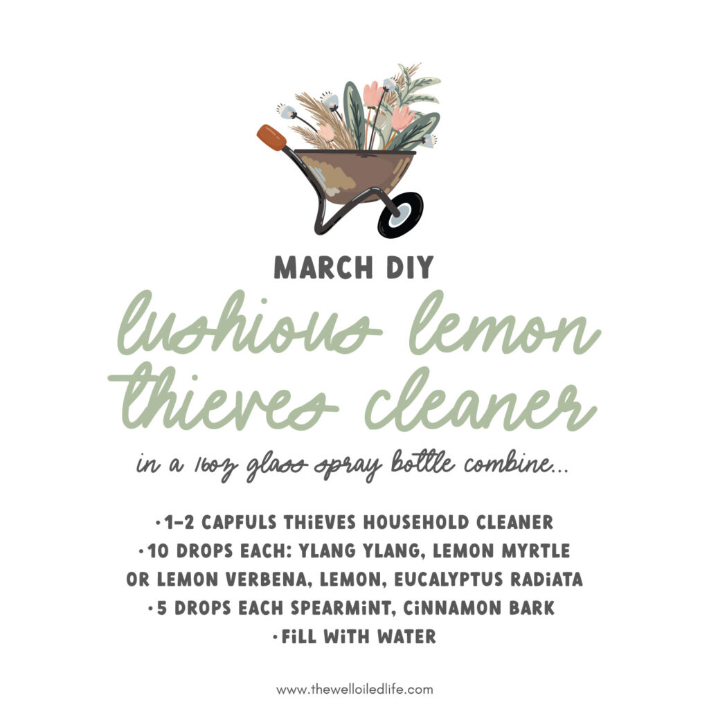 Lushious Lemon Thieves Cleaner - The Well-Oiled Life | Using Young ...
