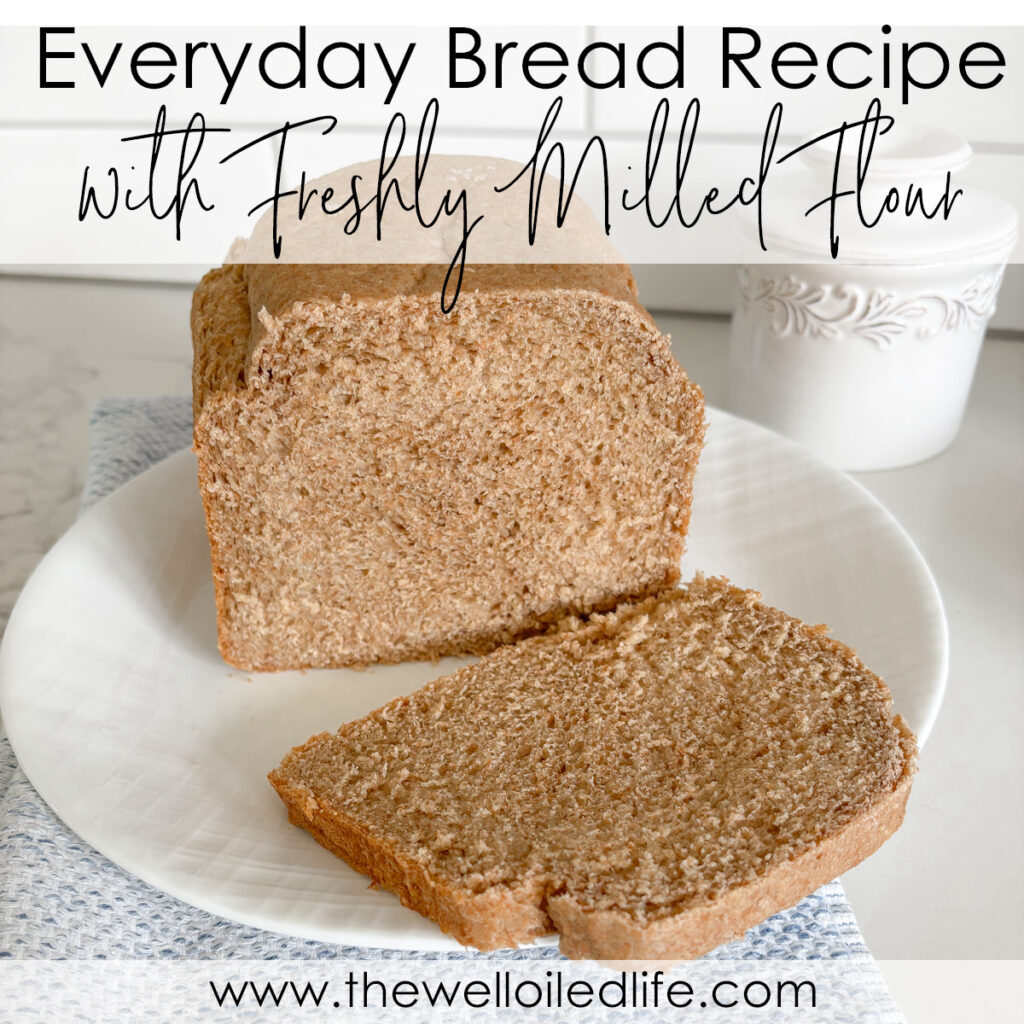 Everyday Bread Recipe with Freshly Milled Flour for the Bread Machine